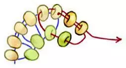 Corkscrew Tendrils कसरी स्टिच गर्ने, एक मनका बुनाई स्टिच र कुनै पनि डिजाइनमा उत्कृष्ट थप।