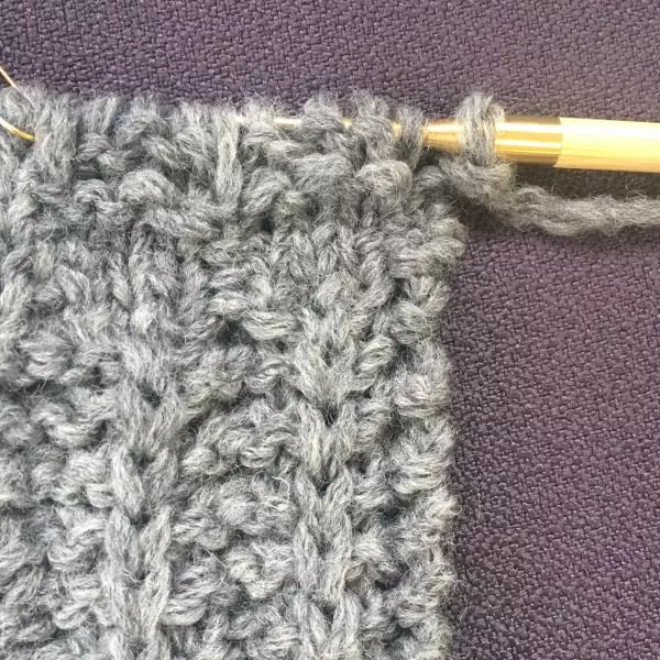 Knit 101: Progrés lent i una mica d'ajuda dels meus amics