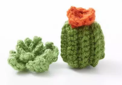 ਦਾਨਾ ਦੇ ਦੋ crochet succulents.