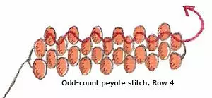 Odd-count vs even-count Peyote: فرق ڇا آهي؟ 16069_5