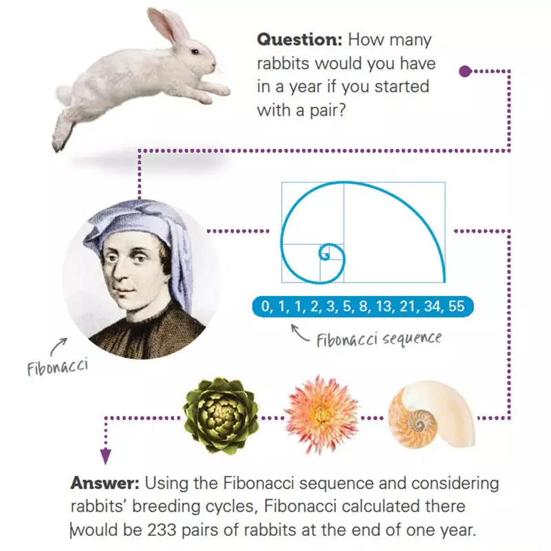 Kaniner, matematikk, heklet fargestriper og Fibonacci-sekvensen