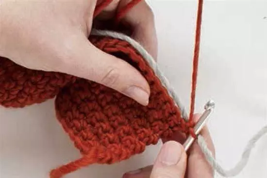 අලංකාර වර්ණ වැඩ සඳහා Tapestry Crochet 21001_2
