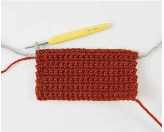 අලංකාර වර්ණ වැඩ සඳහා Tapestry Crochet 21001_5
