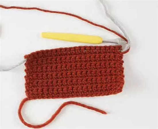අලංකාර වර්ණ වැඩ සඳහා Tapestry Crochet 21001_6