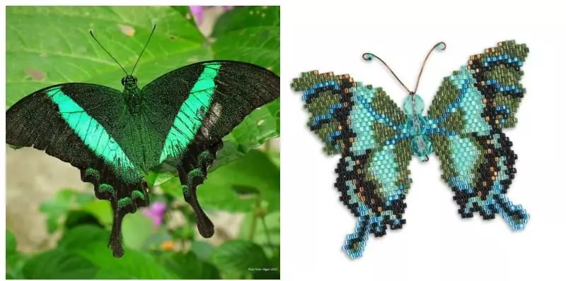 Inspirez-vous de la nature et de Brick Stitch un magnifique papillon