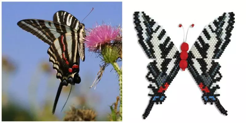 Wana Kufemerwa Nezvakasikwa uye Brick Stitch A Gorgeous Butterfly 22193_3