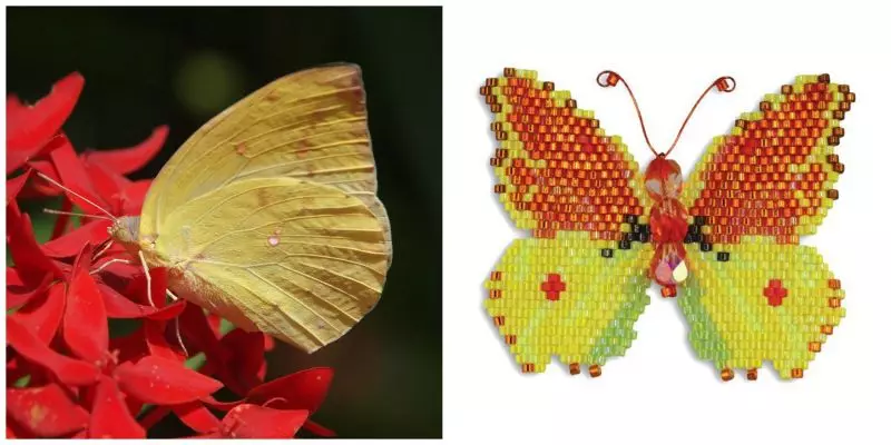 Låt dig inspireras av naturen för att pärla en underbar fjäril