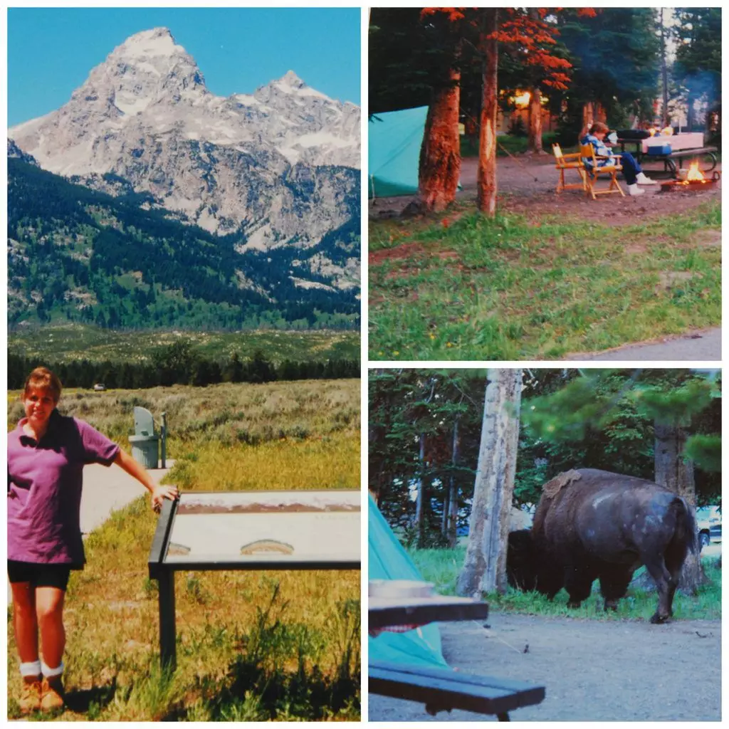 yellowstone_collage