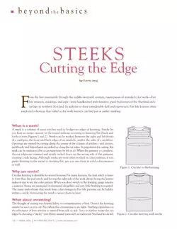 Steeks: Cutting the Edge 26751_2