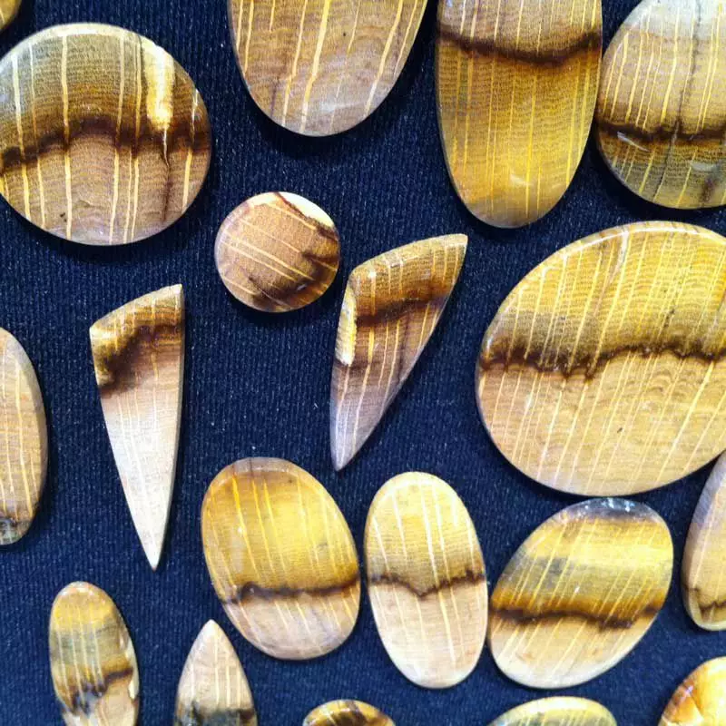10+ крутих кабошонів з усього світу, які можна побачити в Тусоні. скам’яніла деревина дуба відома як золотий дуб. Згідно з Barlows Gems, де я бачив ці таксі на Arizona Mineral & Fossil Show