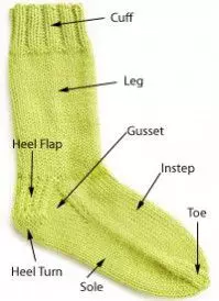 4885.sock_anatomy%20copy.jpg-550x0