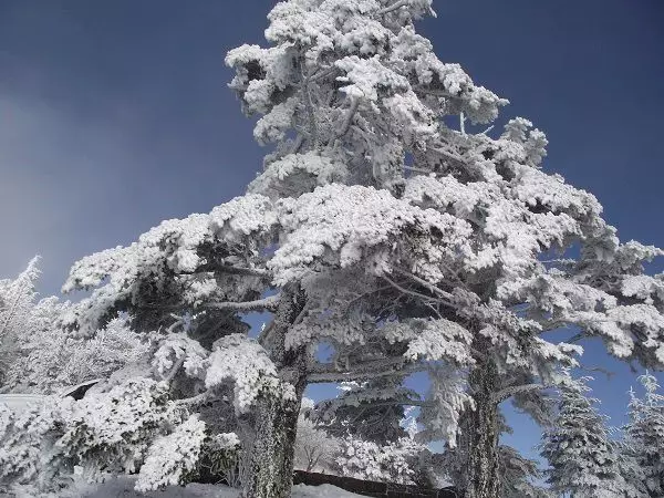 zasnežena gora2